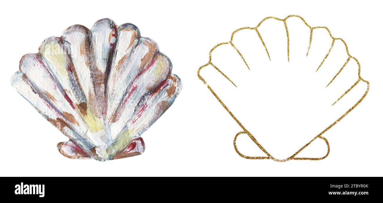 Acrylic hand painted sea shells illustration, golden graphic liner ...