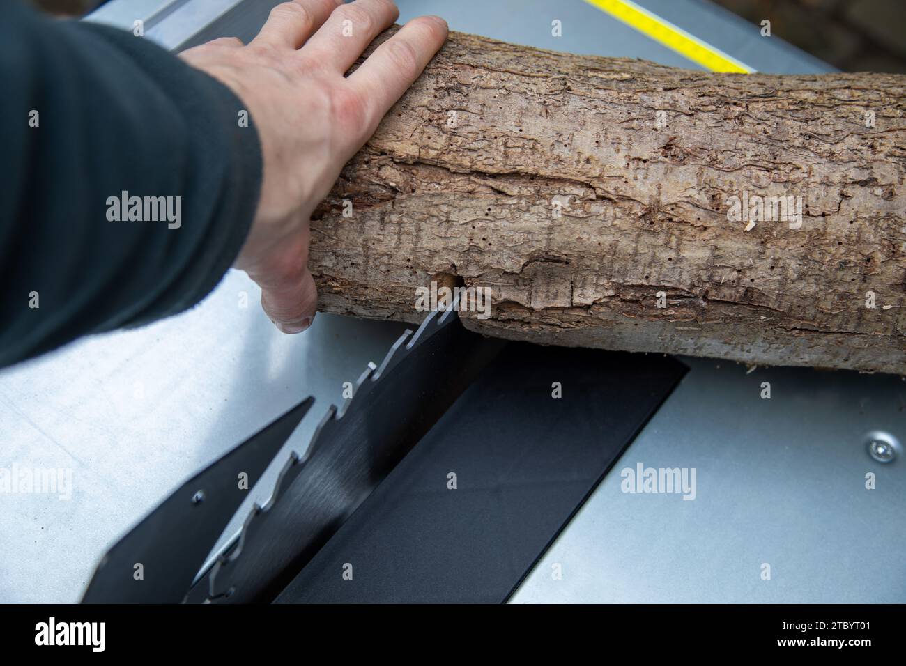 Holzstamm mit einer Kreissäge in zwei Teile sägen Stock Photo - Alamy