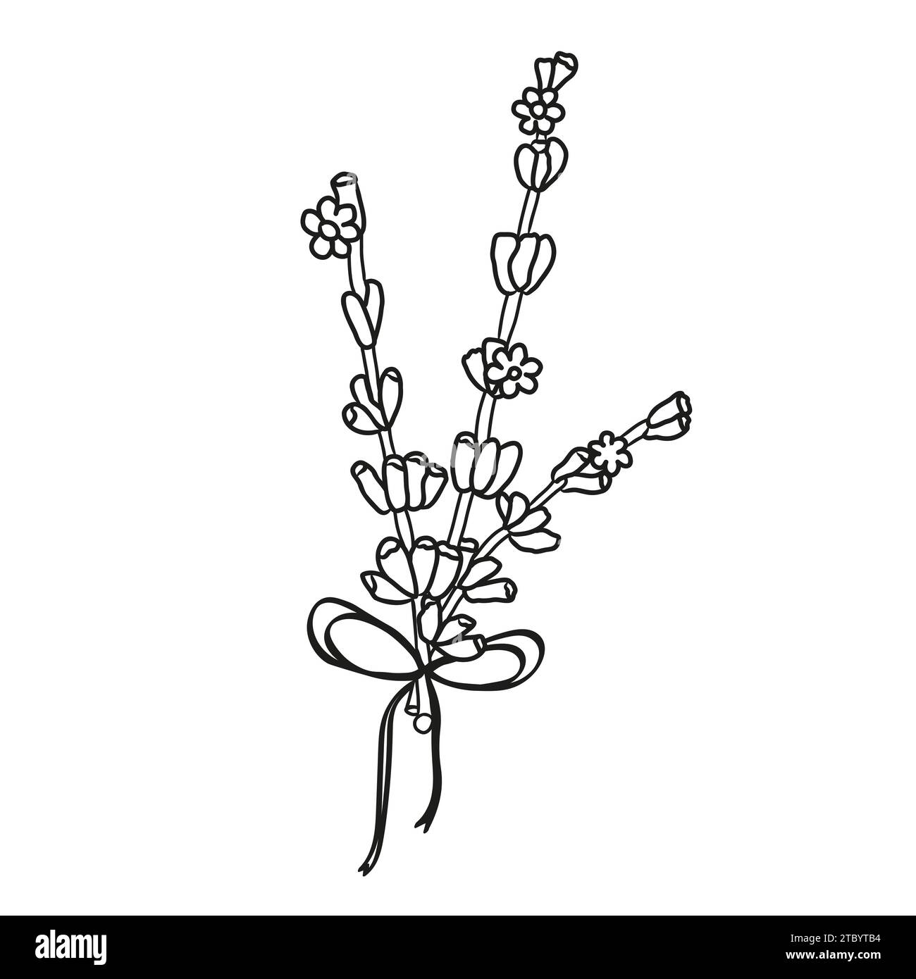 Lavender frame ink bouquet, flower with bow for design of card or ...