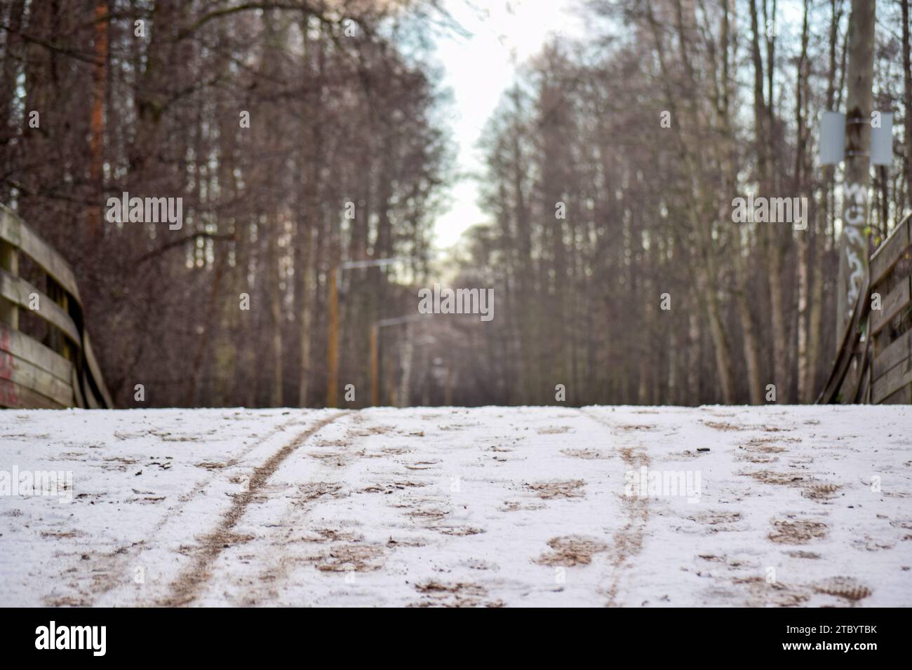 Snow path in the forest Stock Photo - Alamy