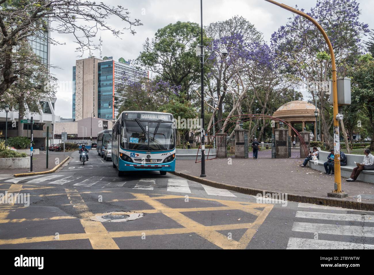 City bus at an intersection next to Morazon Park with flowering ...