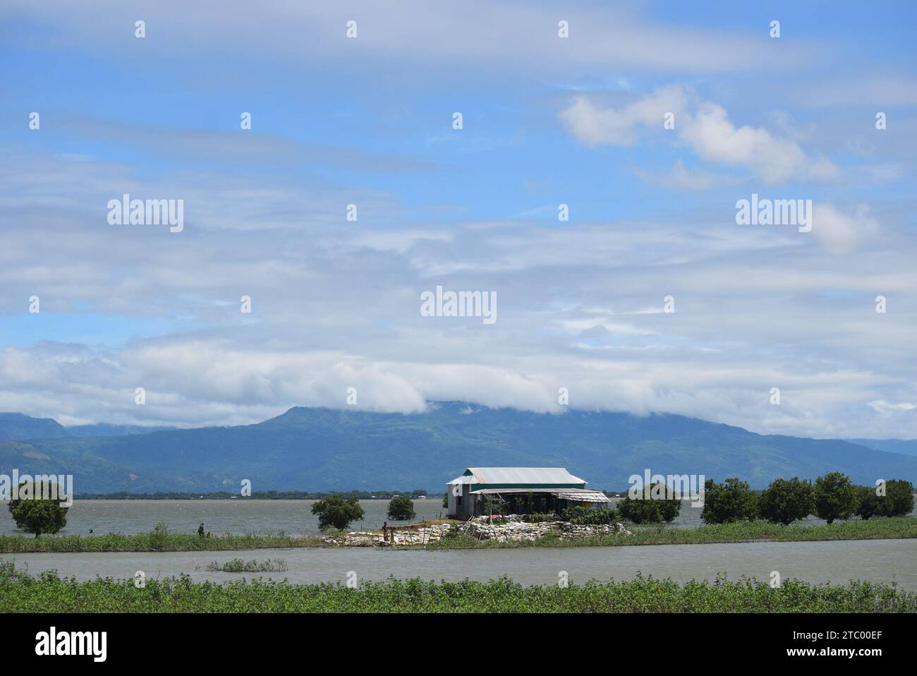 Cloud barrier in Meghalaya hills Stock Photo - Alamy