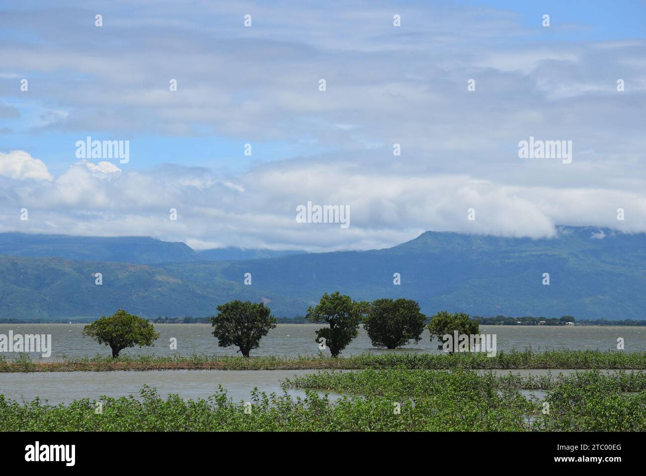 Cloud barrier in Meghalaya hills Stock Photo - Alamy