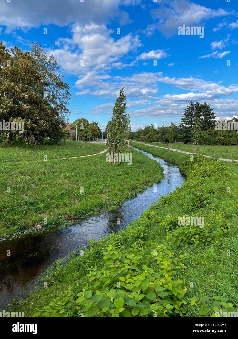 Schlamm baden hi-res stock photography and images - Alamy