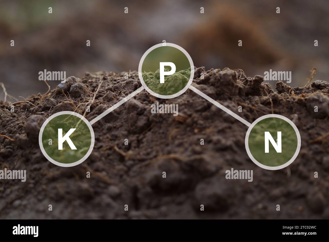 Soil background with NPK Letter and icon digital nutrients icon which necessary in plant life ...