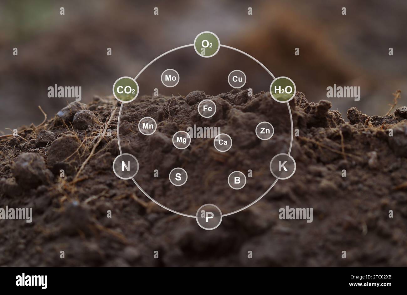 Soil background with 16 digital nutrients icon which necessary in plant life, Plant Nutrients ...