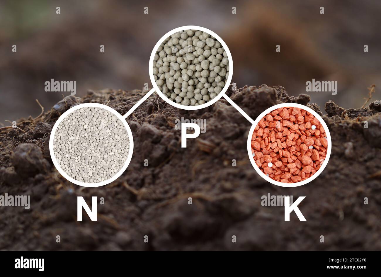 Soil background with NPK Letter and icon digital nutrients icon which necessary in plant life ...