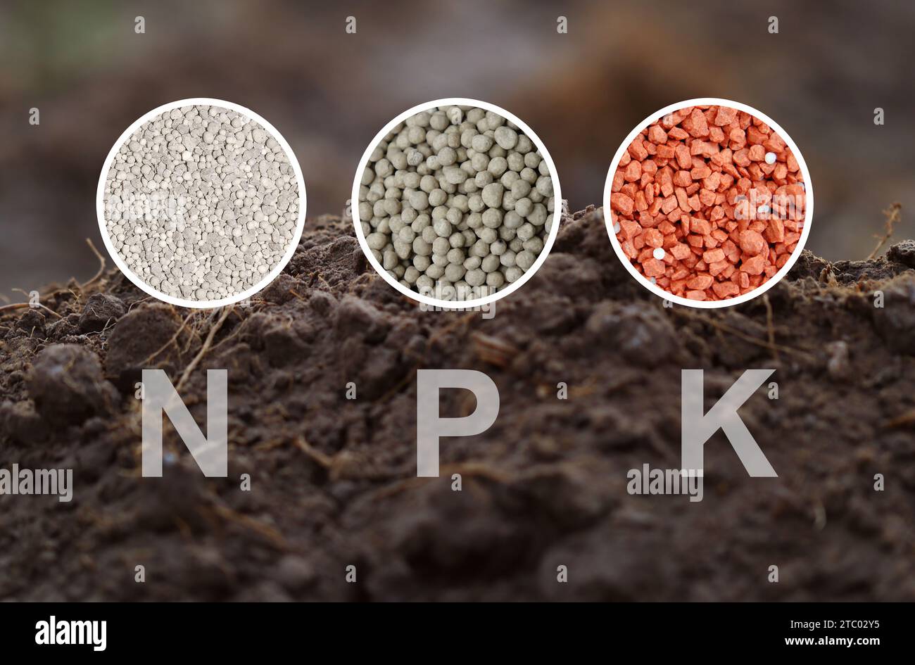 Soil background with NPK Letter and icon digital nutrients icon which ...
