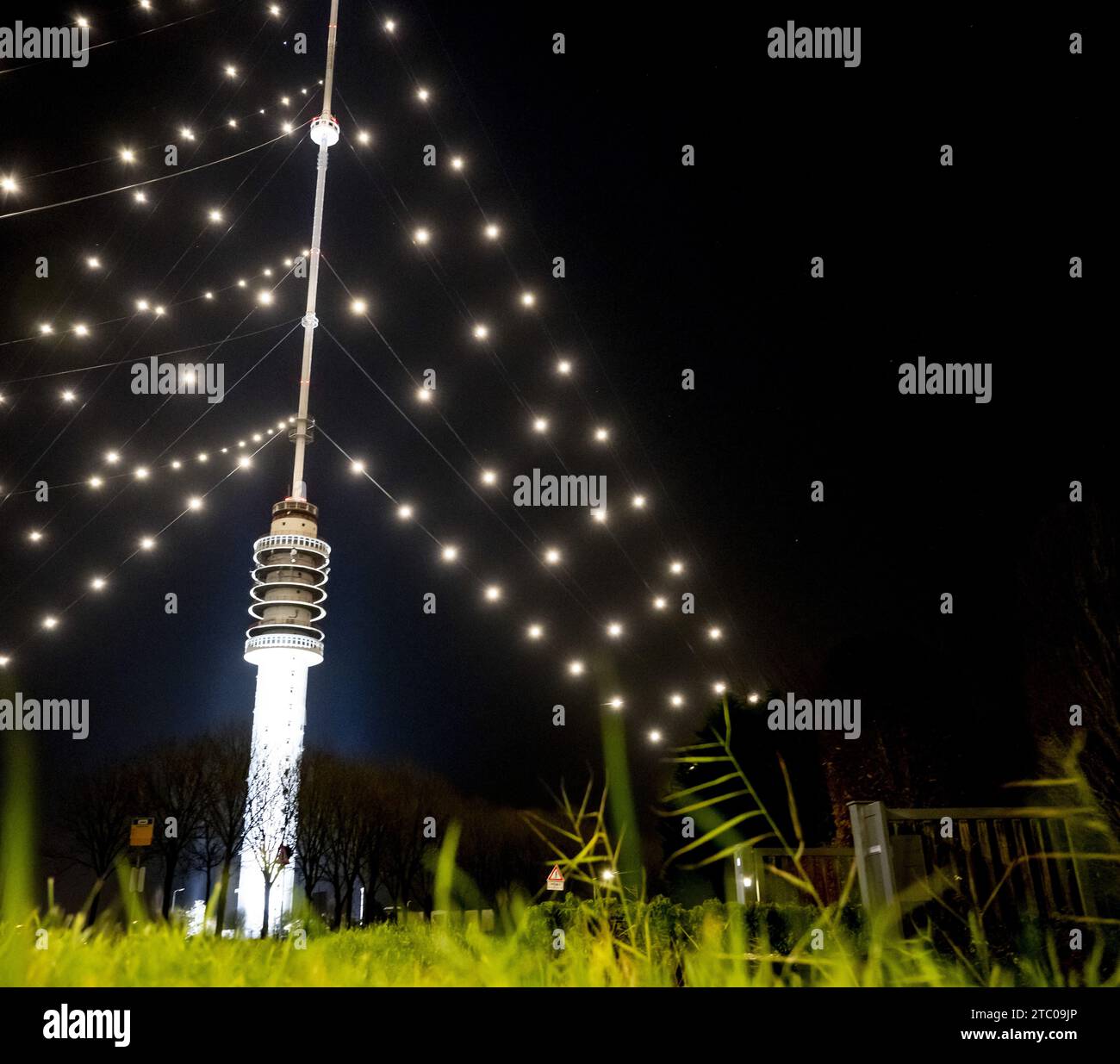 IJSSELSTEIN - The lights in the 'largest Christmas tree in the ...