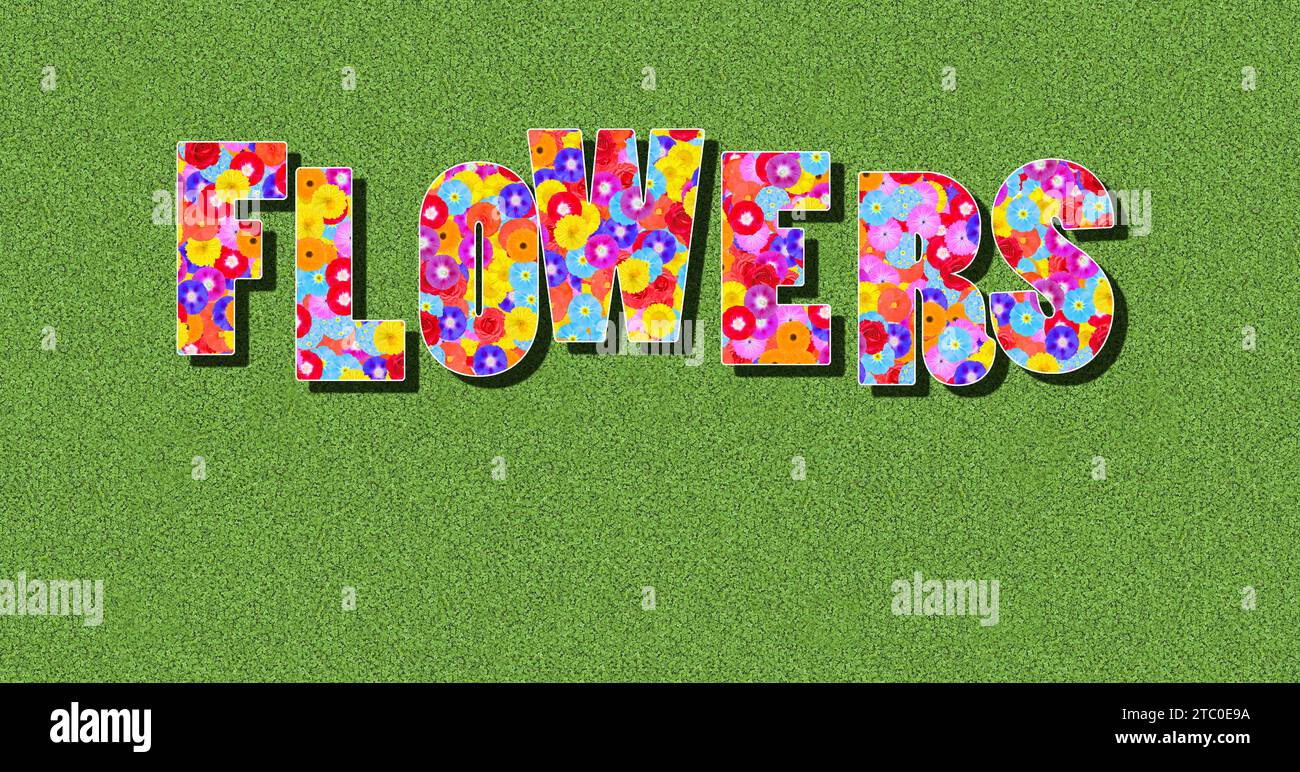 Text, writing, English word flowers with colorful flowers on a green ...