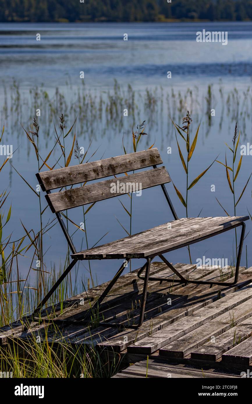 A wooden bench stand on the edge of a wooden boardwalk, overlooking a ...