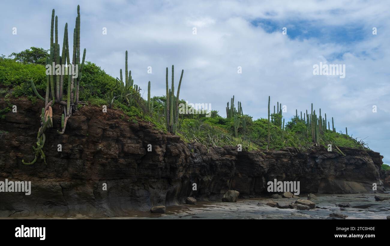 Cactus lining a cliff which faces the shore and Tidal pools in ...