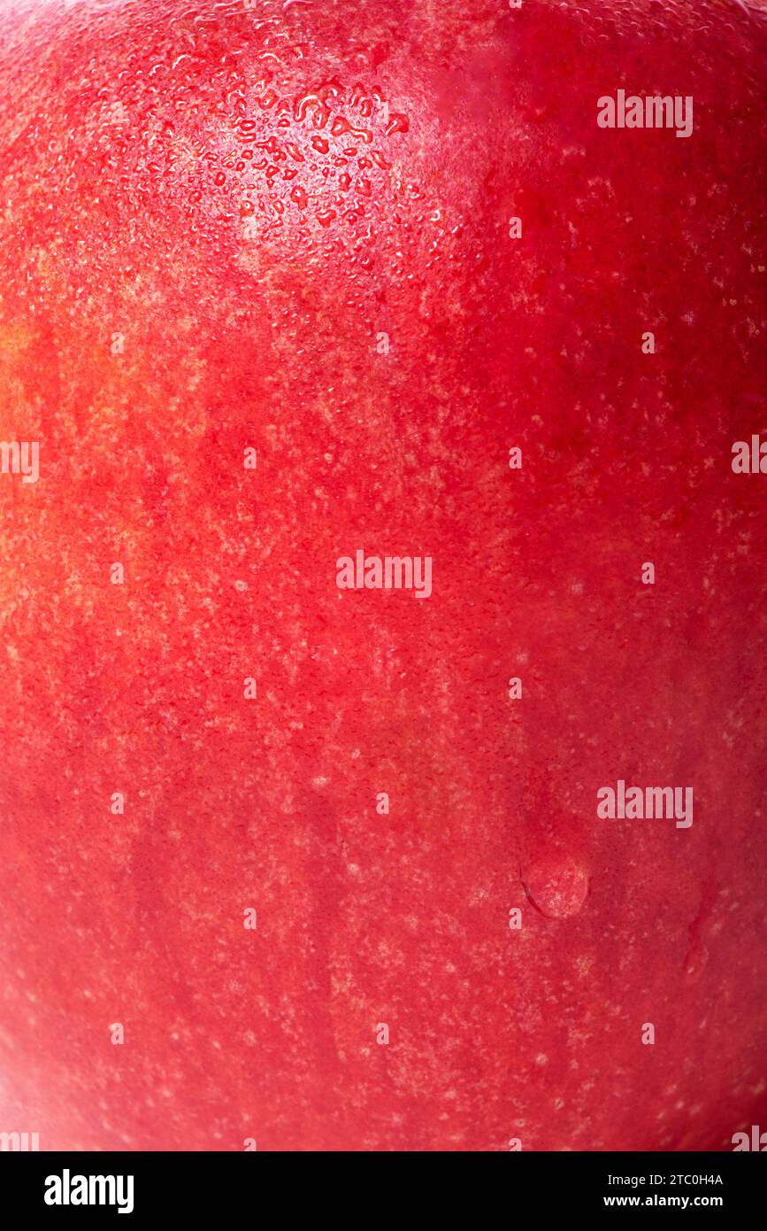 Texture of a red apple as a background. Macro photo of an apple ...