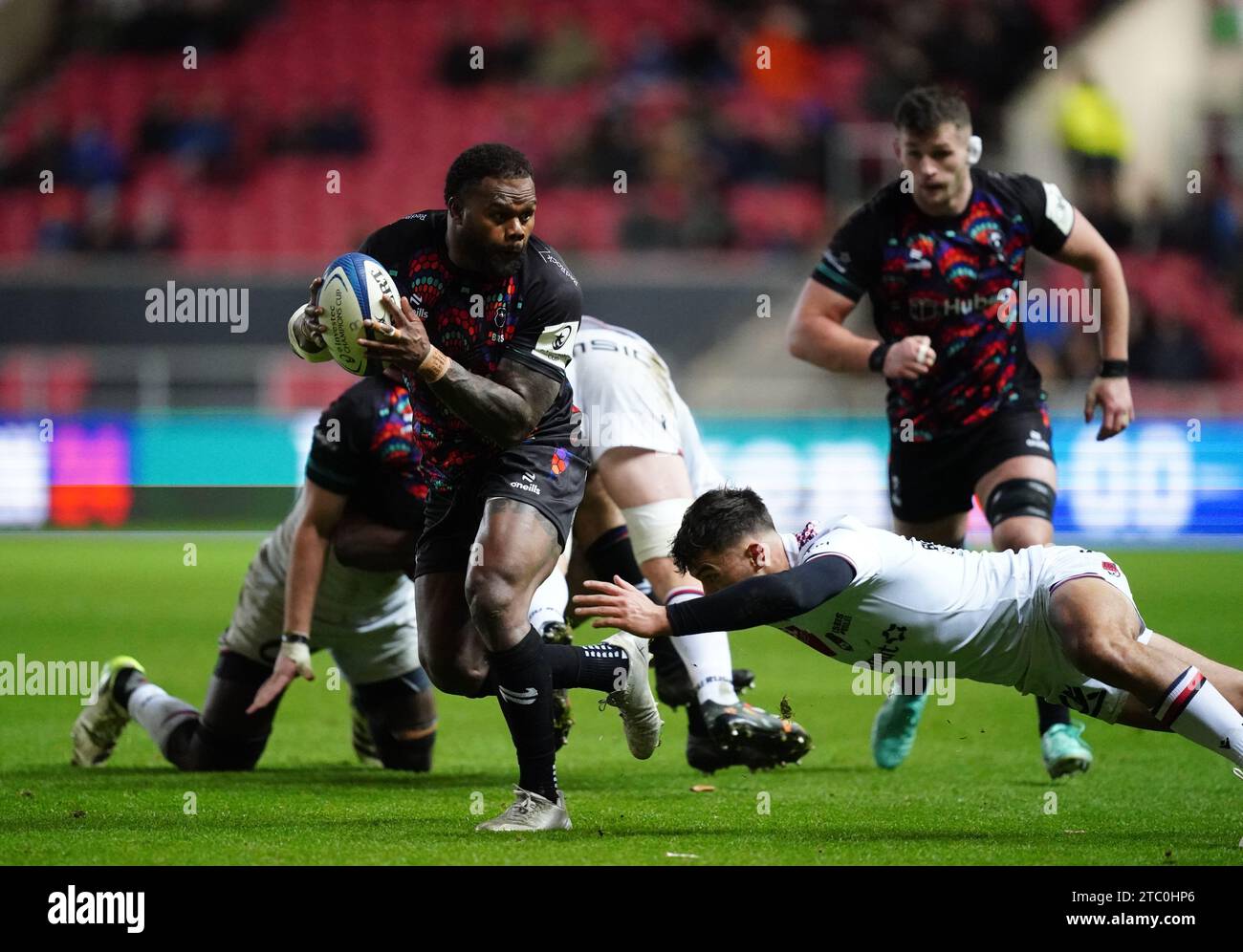 Virimi vakatawa bristol bears hi-res stock photography and images - Alamy