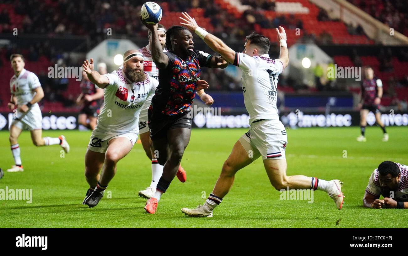 Bristol bears hi-res stock photography and images - Alamy
