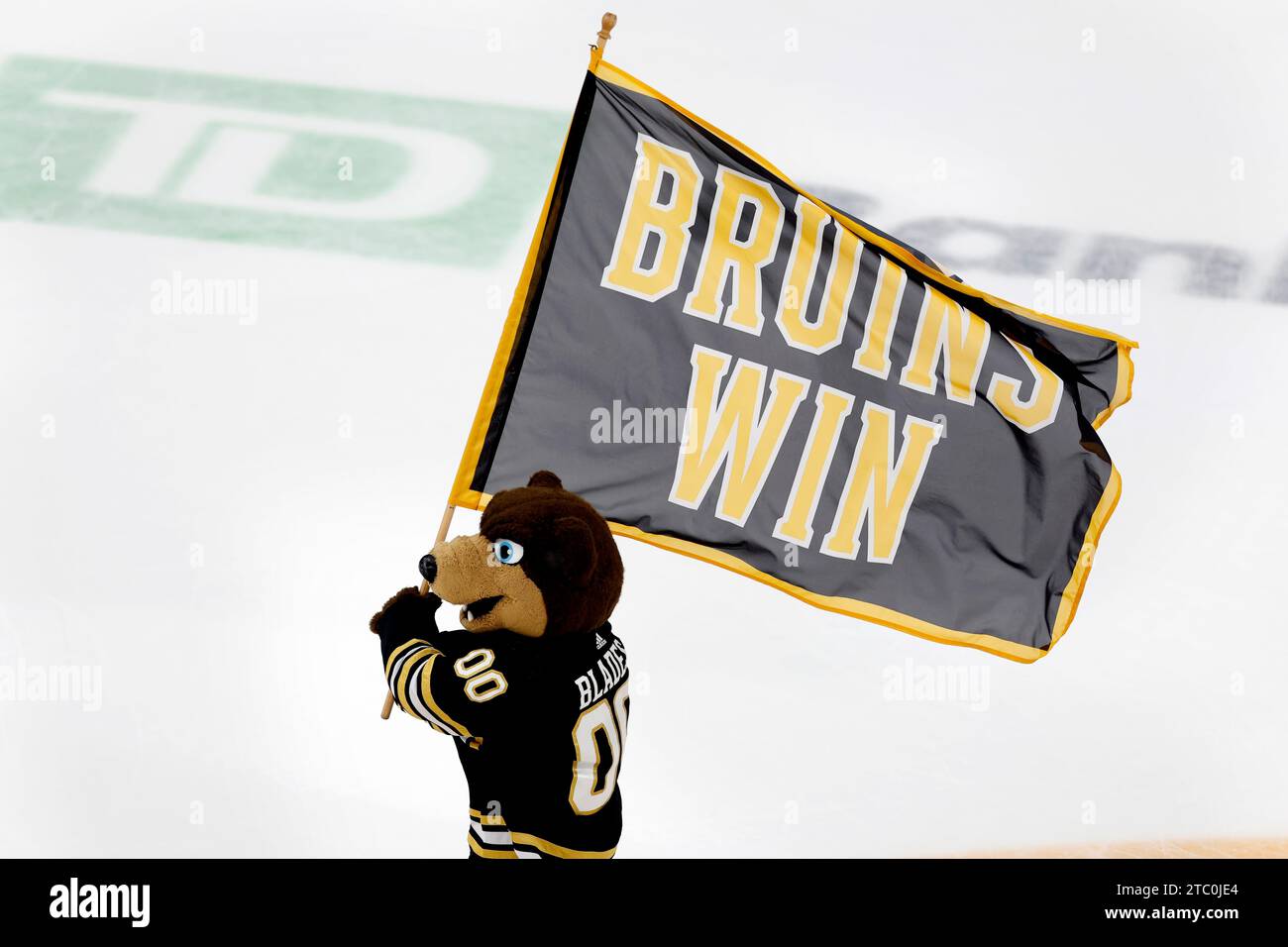 The Boston Bruins mascot following an NHL hockey game against the ...