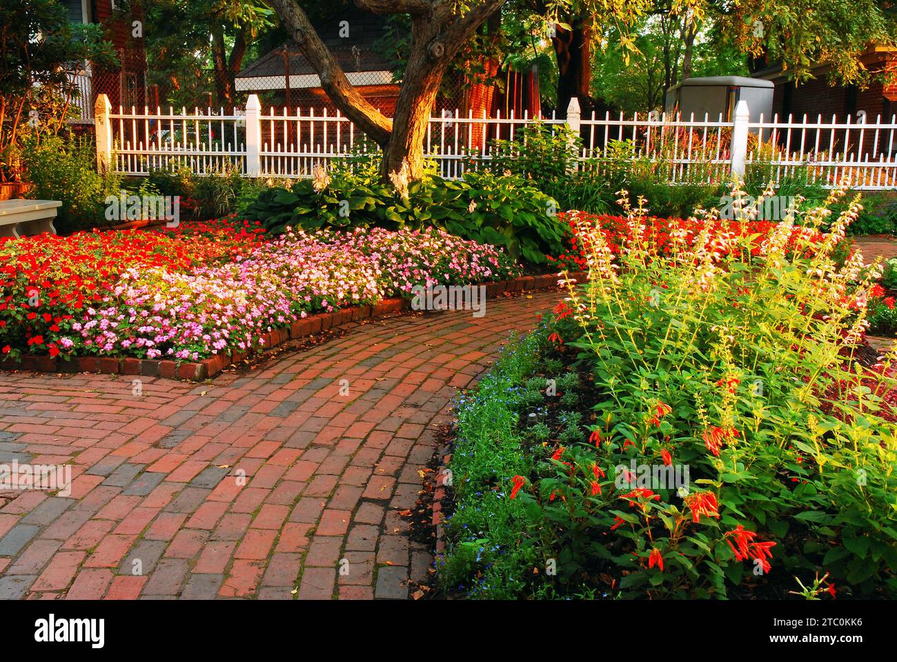 A brick path circles its way through a small garden with flowers ...
