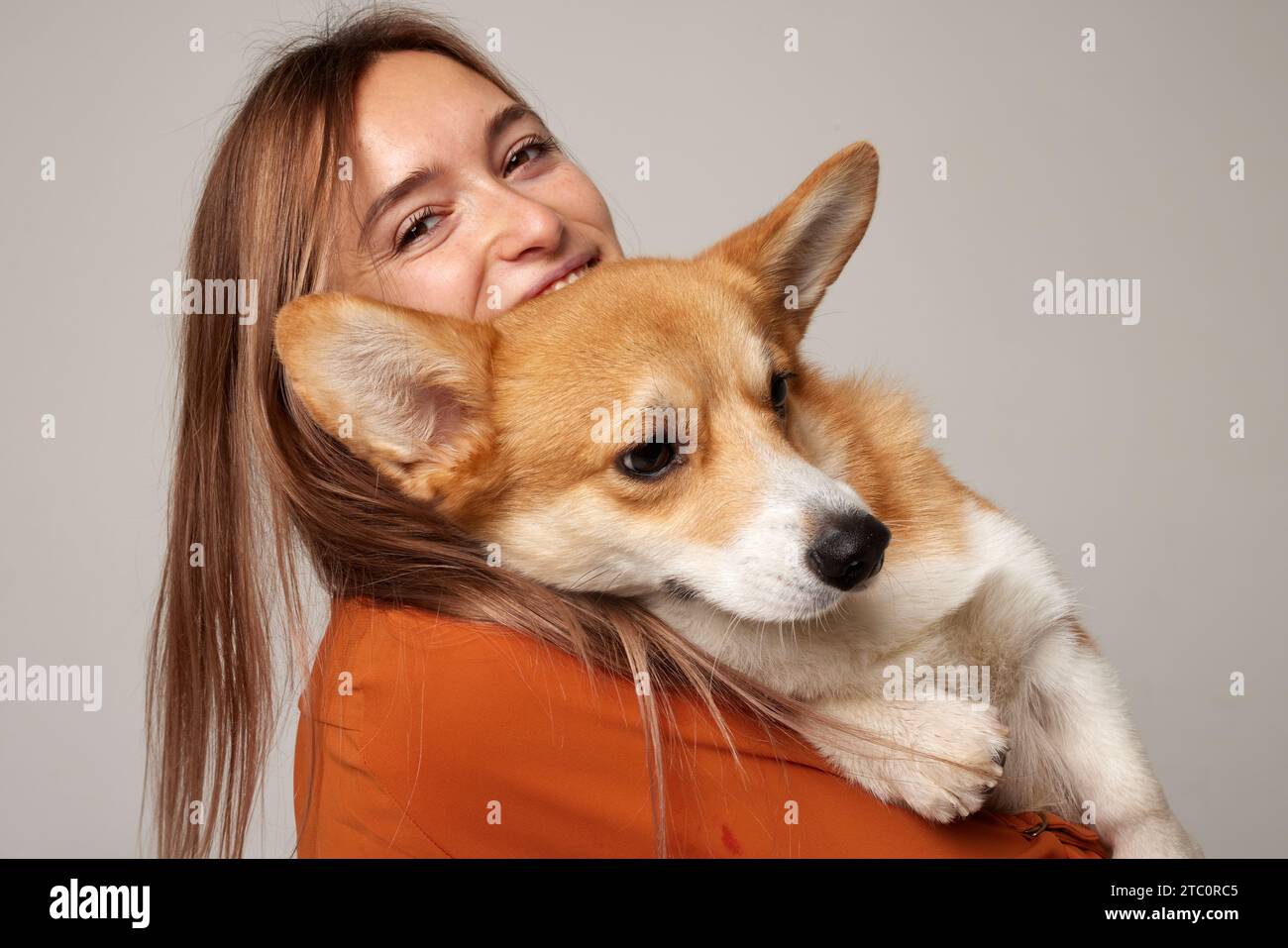 girl holding a corgi dog in her arms on a clean light background, love ...