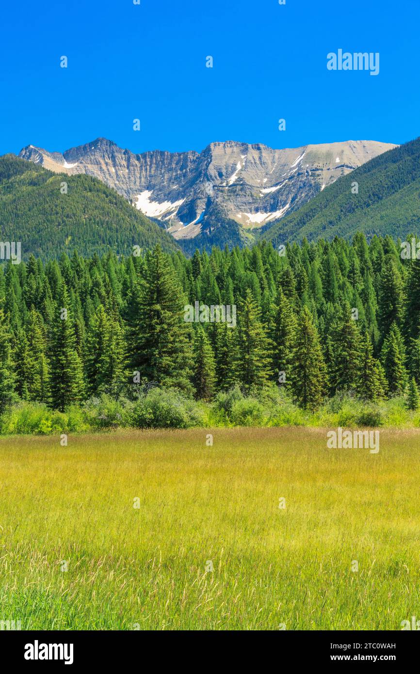 swan peak in the swan range above simmons meadow near swan lake ...