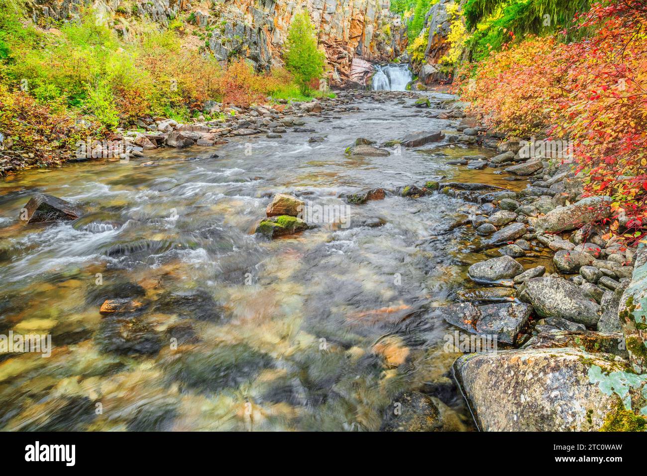 waterfall and fall colors along tenderfoot creek in the little belt ...