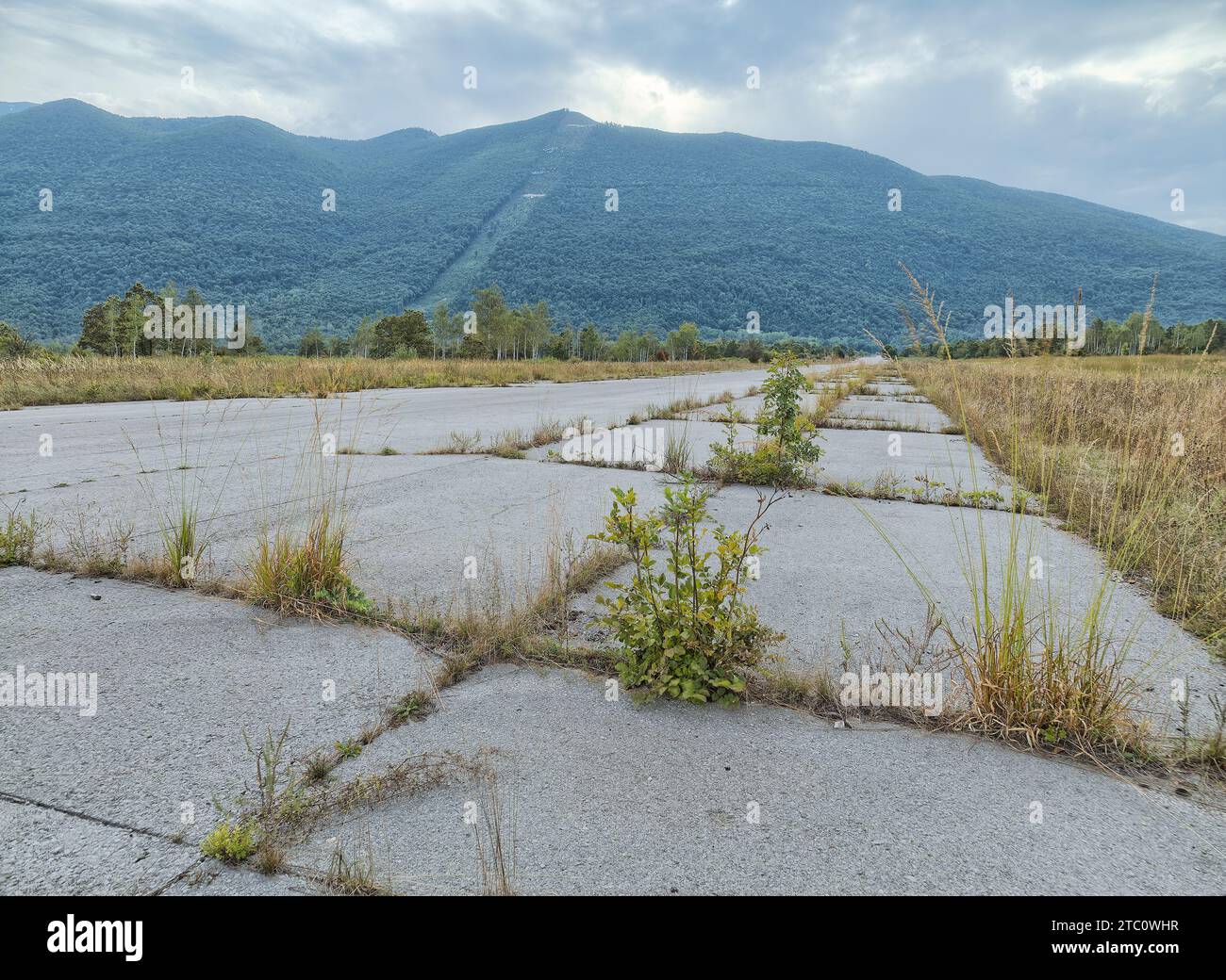 Reclaimed by Nature: Zeljava Airfield Stock Photo - Alamy