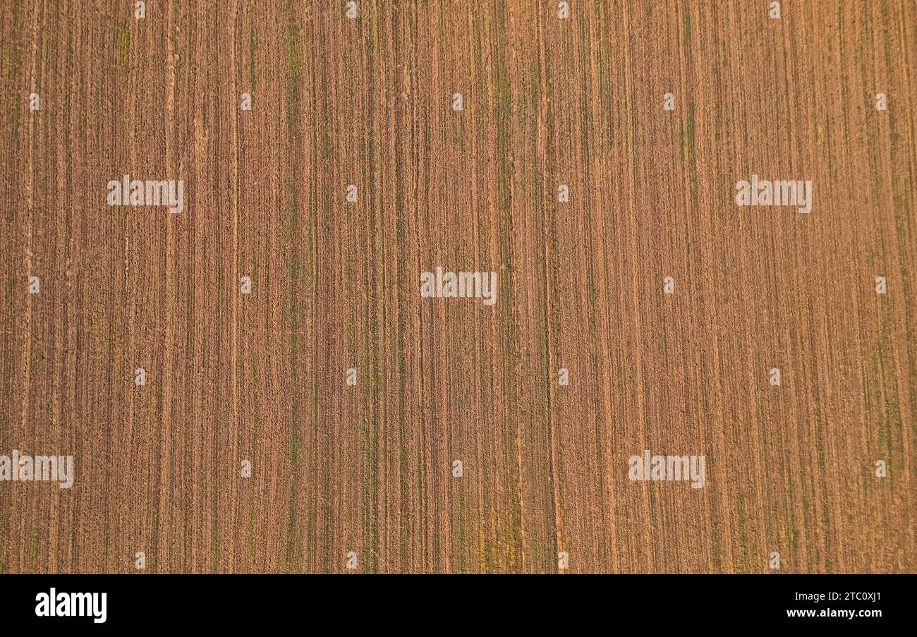 Aerial shot of endless fields in Slavonia, Croatia Stock Photo - Alamy