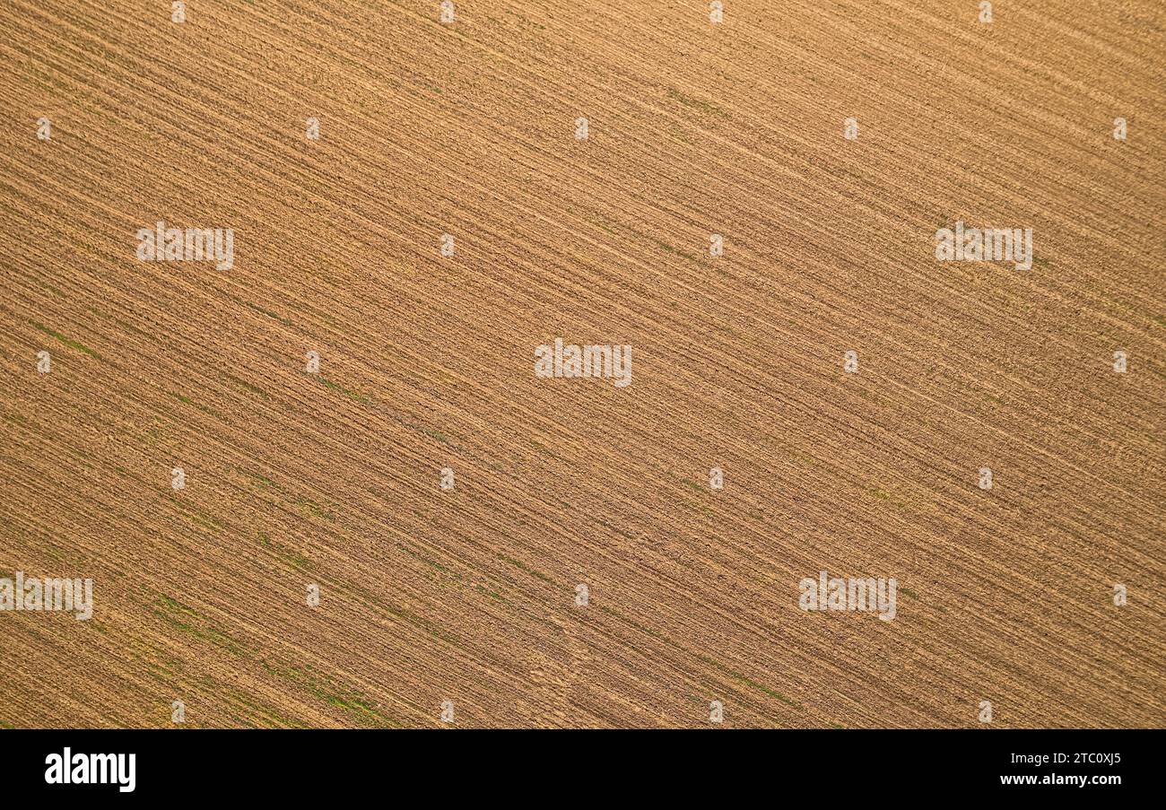 Aerial shot of endless fields in Slavonia, Croatia Stock Photo - Alamy