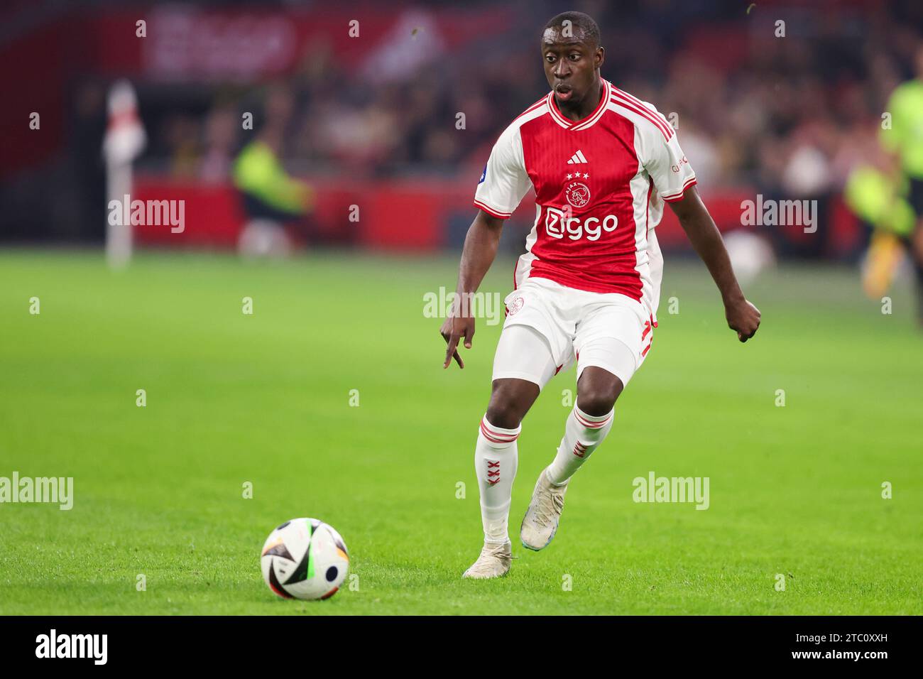 Forbs hi-res stock photography and images - Alamy