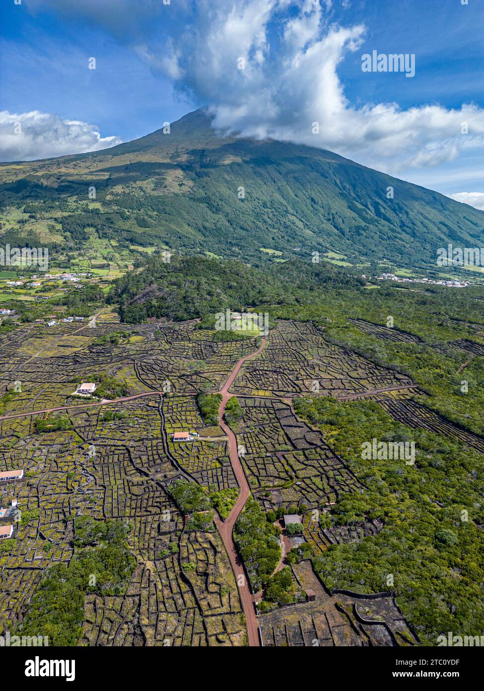 Aerial view of Pico Mountain and its vineyards at Pico island, Azores ...