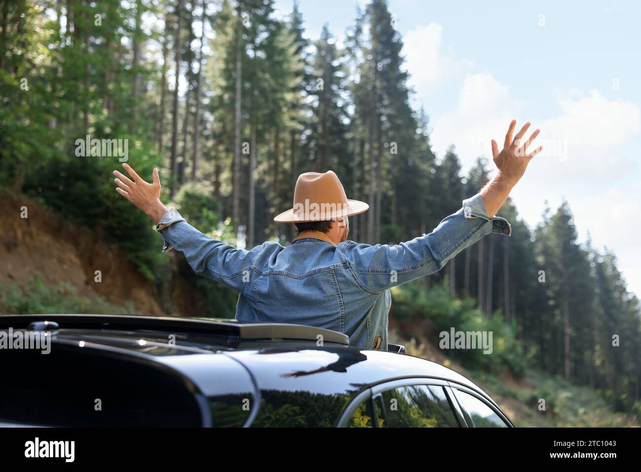 Enjoying trip. Man leaning out of car roof outdoors, back view Stock ...