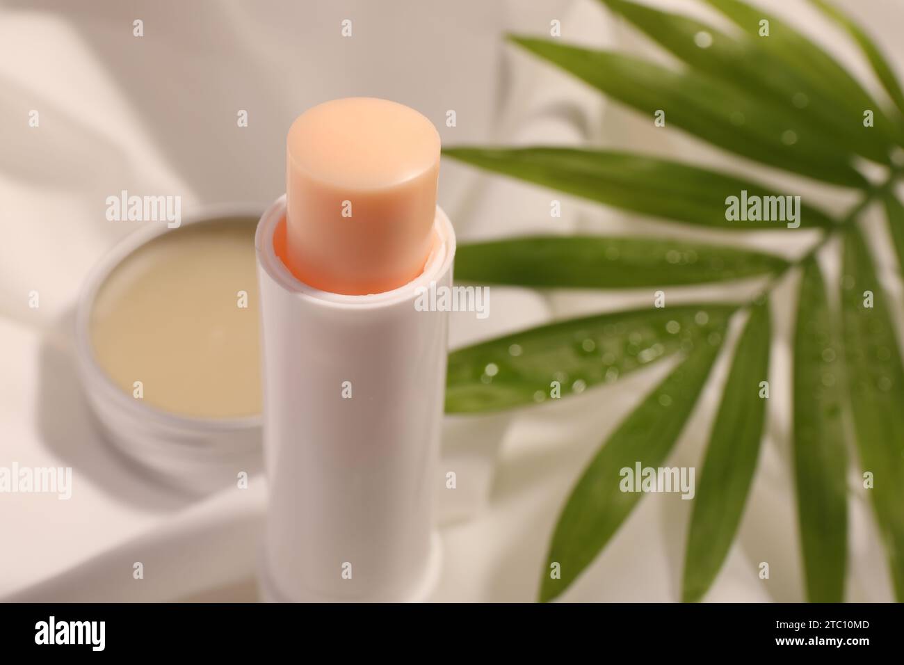Lip balms and palm leaf on white fabric, closeup. Space for text Stock ...
