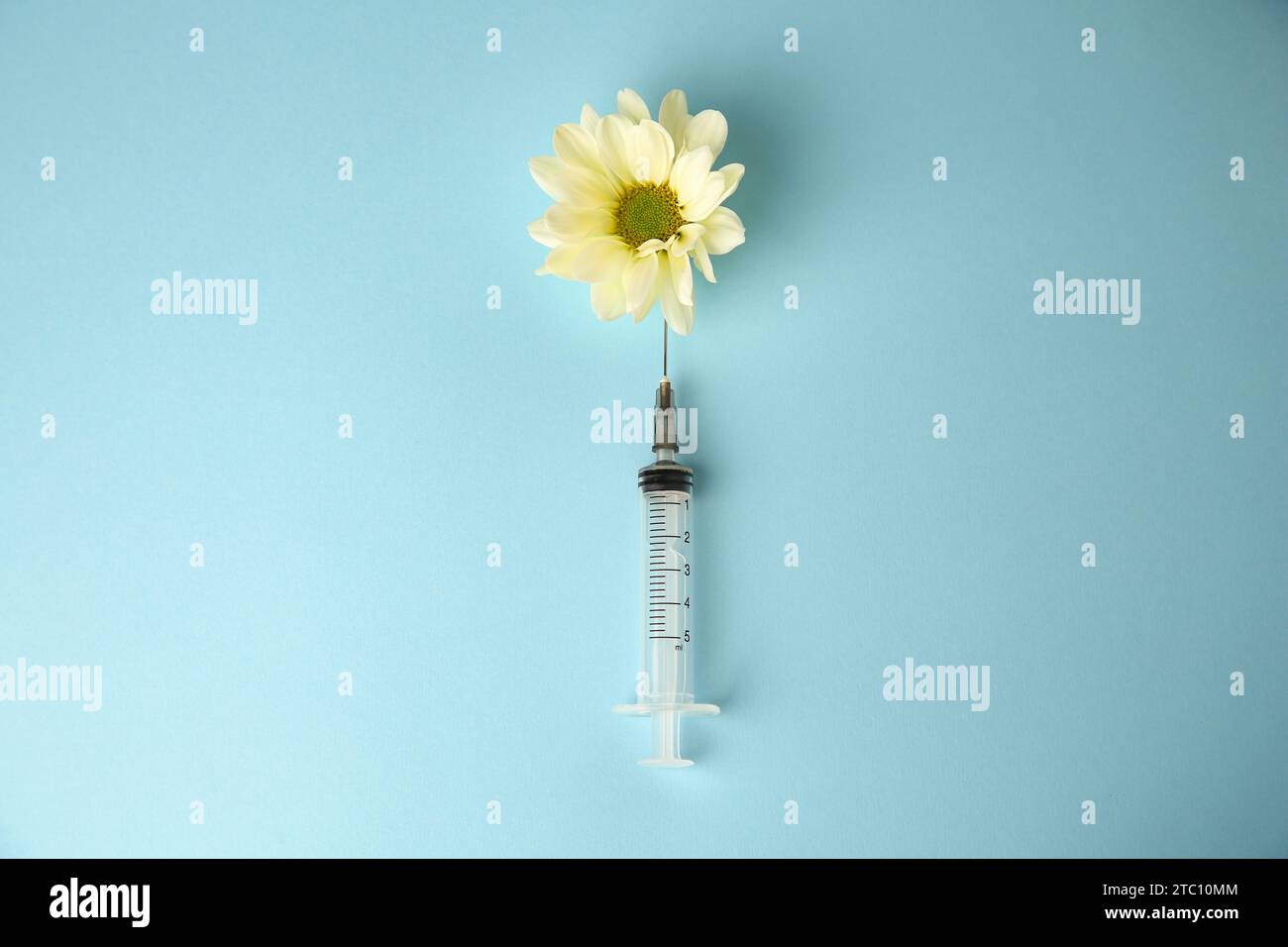 Medical syringe and beautiful chrysanthemum flower on light blue ...
