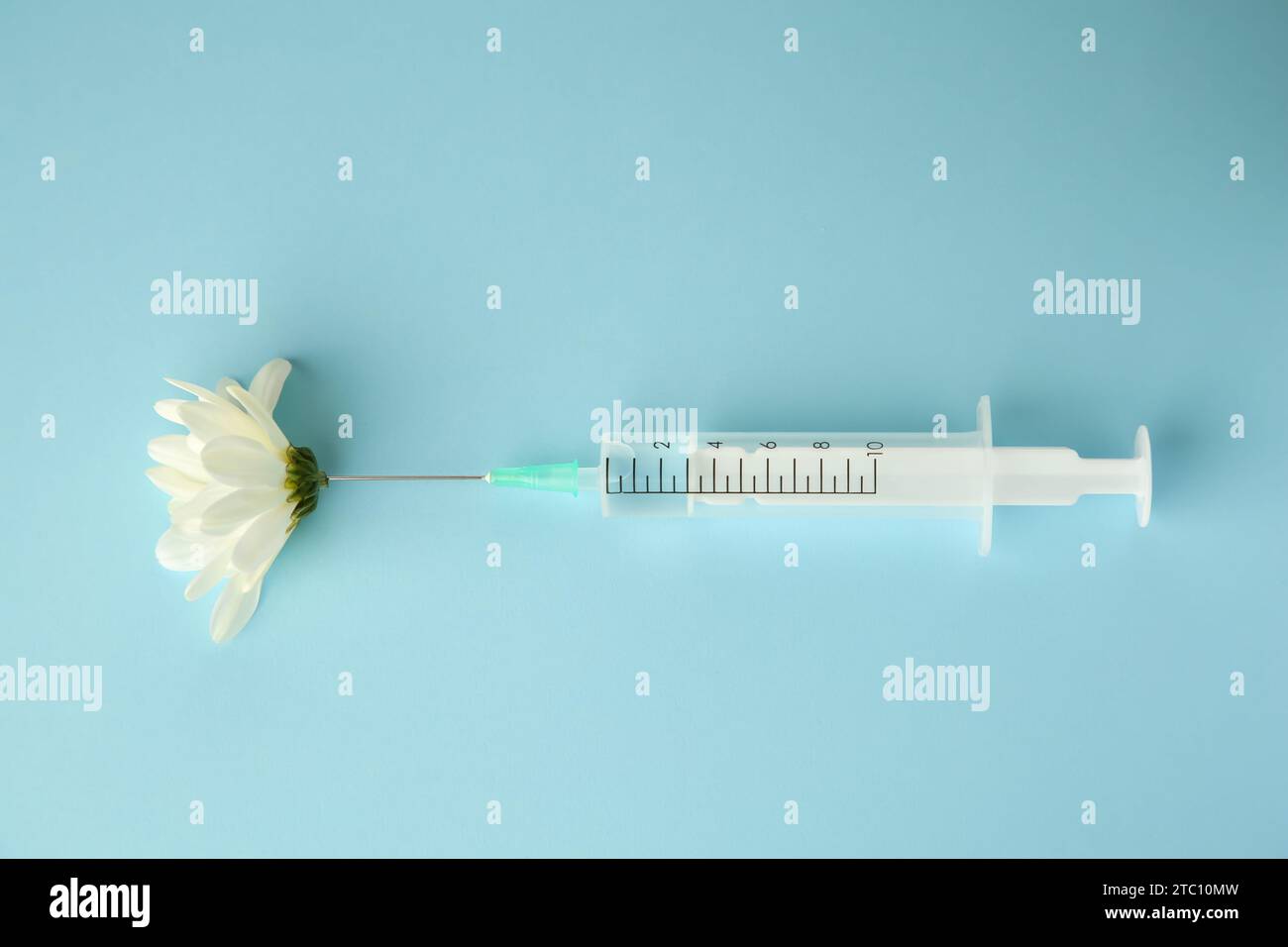 Medical syringe and beautiful chrysanthemum flower on light blue ...