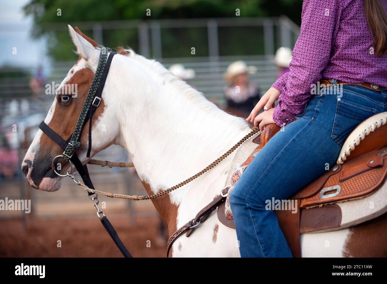 Cowgirl chaps hi-res stock photography and images - Alamy
