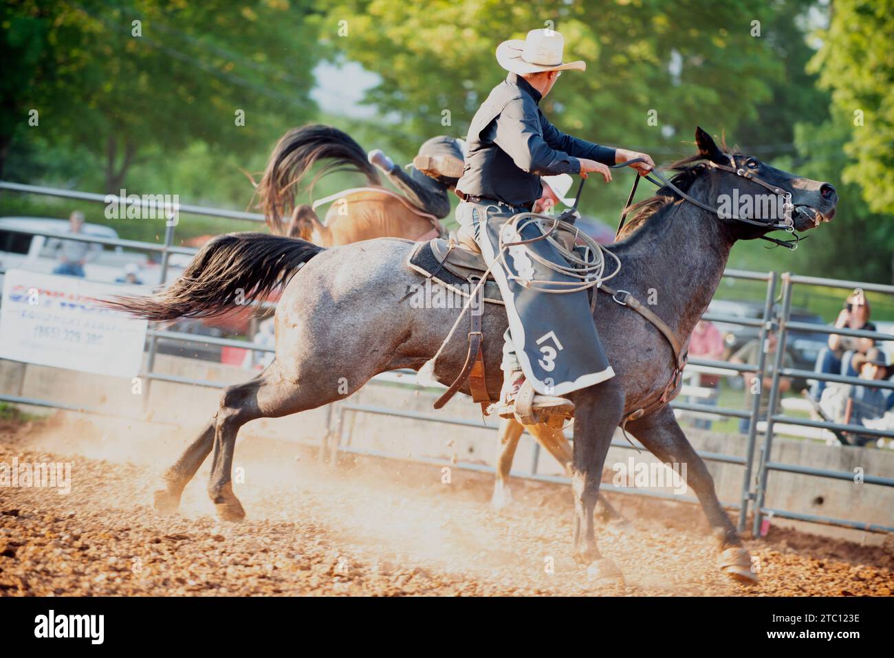 A rodeo pickup man watches a bronc rider Stock Photo - Alamy A rodeo pickup man watches a bronc rider Stock Photo - Alamy