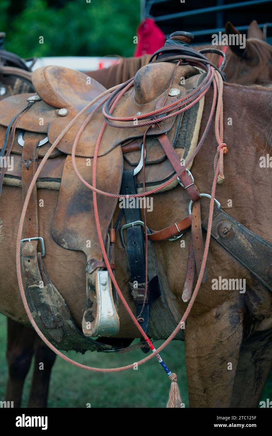 Roping event hi-res stock photography and images - Alamy