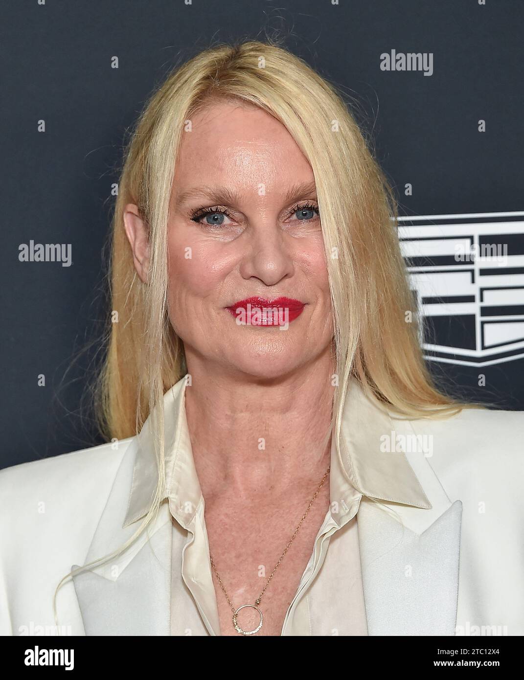 Hollywood, USA. 16th Nov, 2023. Nicollette Sheridan arriving to the ...