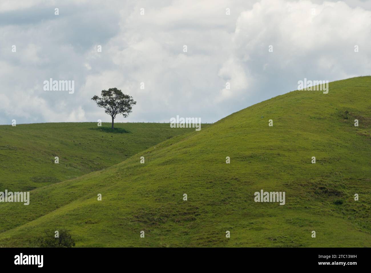 Distance tree and shadow on the rolling hills with a cloudy sky ...