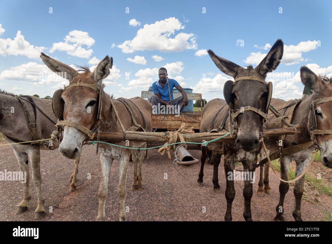 african man with donkey cart carry in drums selling water to sell in ...
