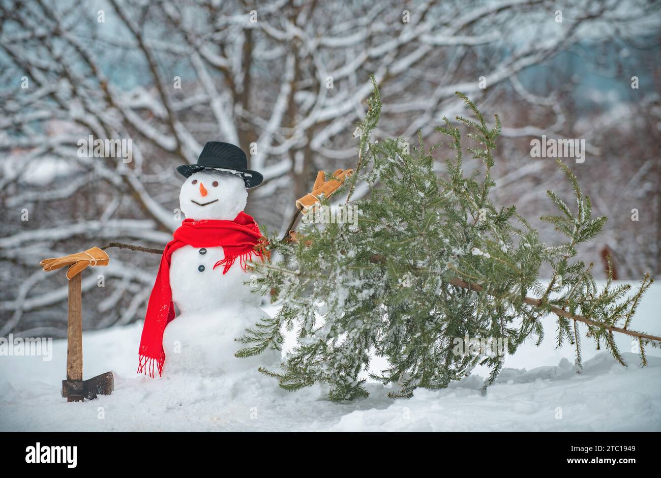 Snow man - lumberjack fir tree in the white snow background. The ...