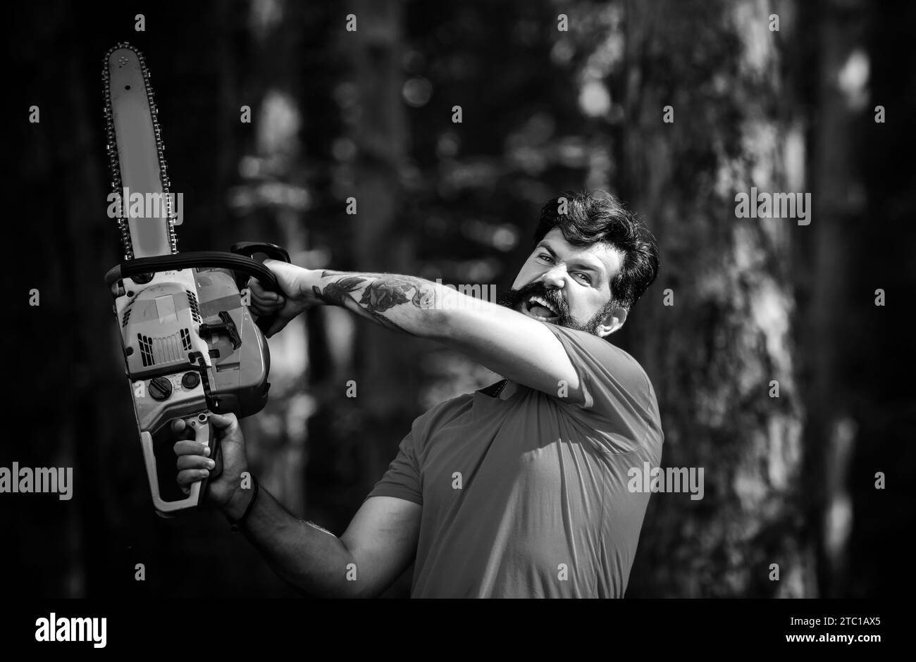 Illegal logging continues today. Woodworkers lumberjack. The Lumberjack ...