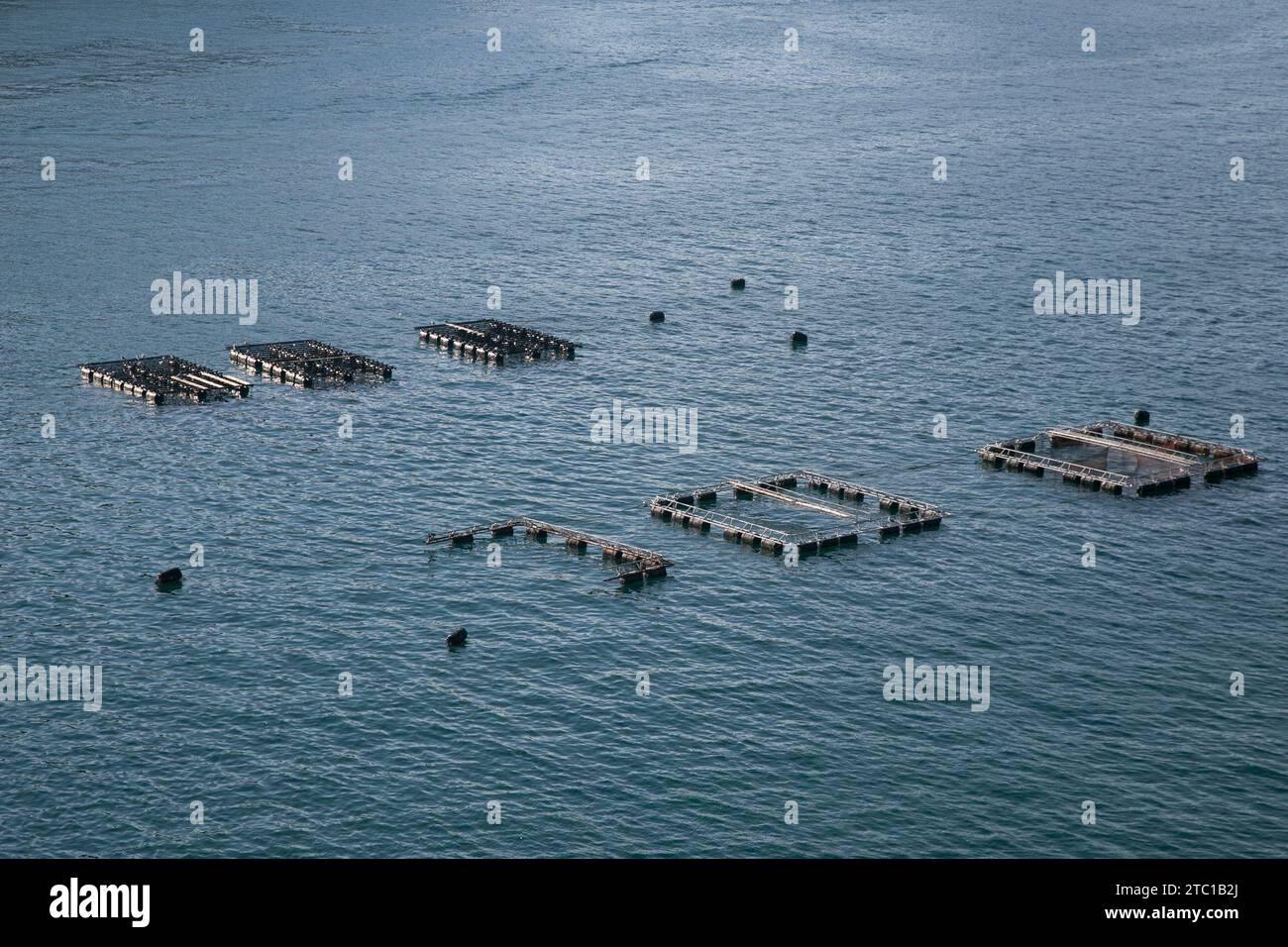 Fish farms located in Ine bay in the beautiful fishing village of Ine ...