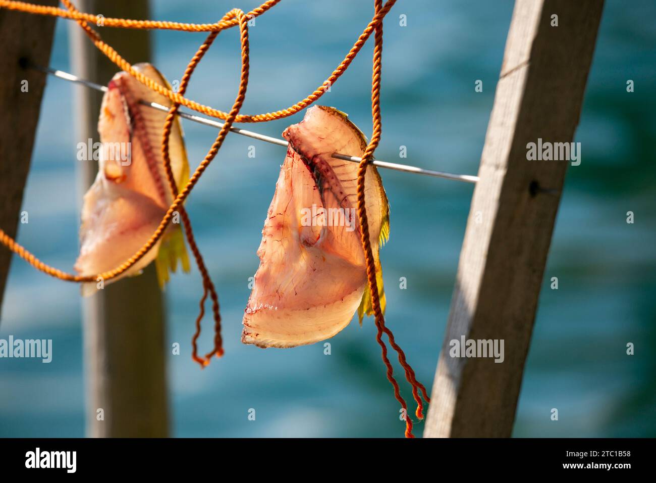 Fish drying hanging in the streets of the the beautiful fishing village ...