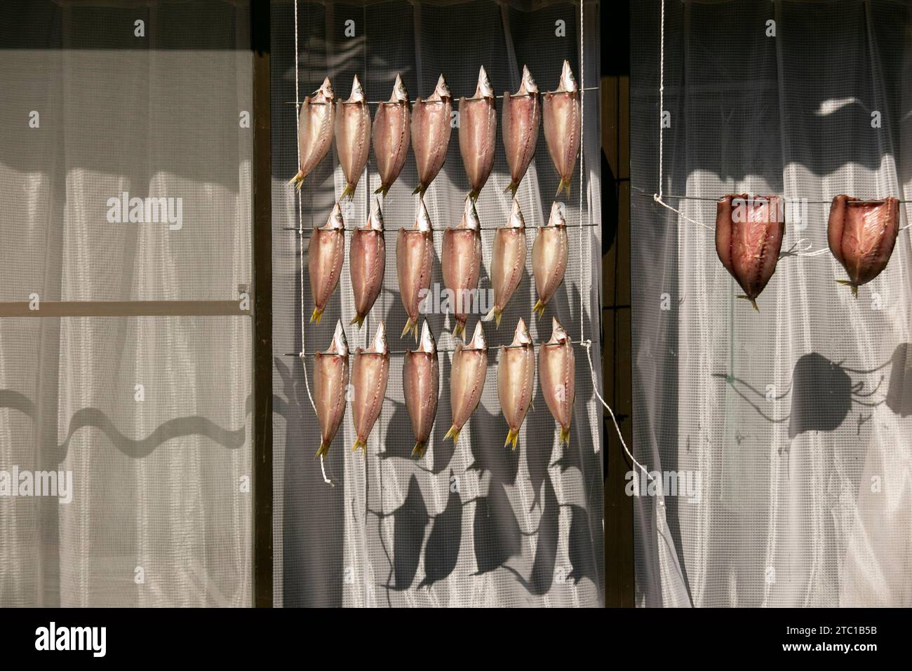 Fish drying hanging in the streets of the the beautiful fishing village ...