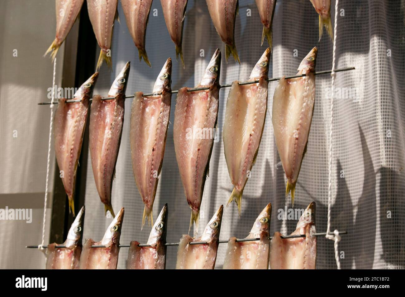 Fish drying hanging in the streets of the the beautiful fishing village ...