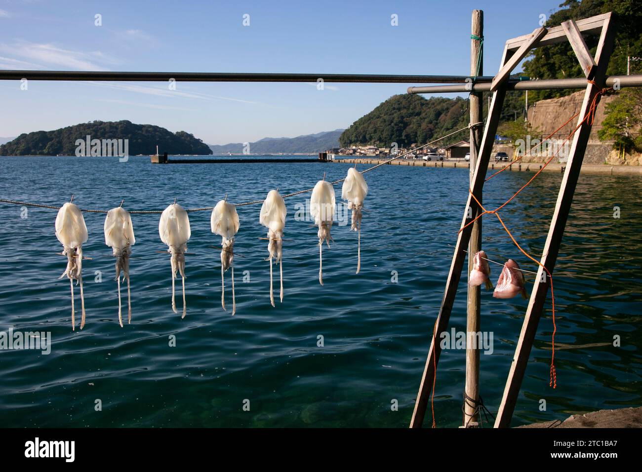 Calamari Fish drying hanging in the streets of the the beautiful ...