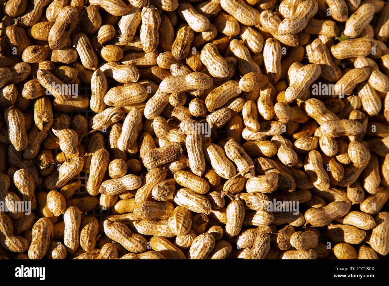 Overhead view of a pile of peanuts Stock Photo - Alamy