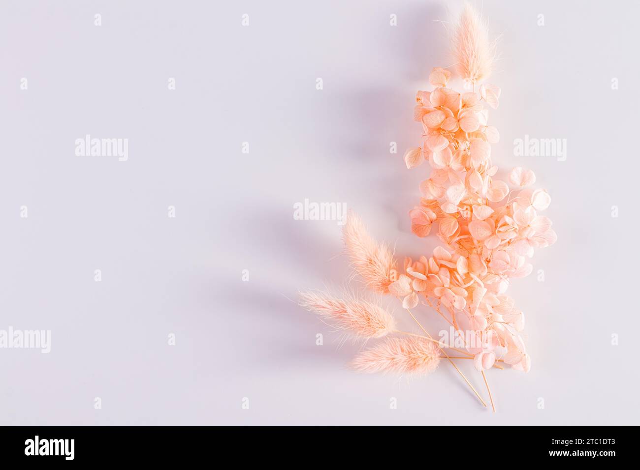Branches of dried grass and peach blossom flowers in a bouquet on a ...