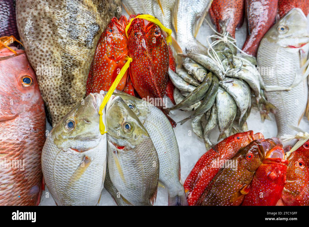 Colorful fish at a stand at a seafood market in Jeddah, Saudi Arabia ...