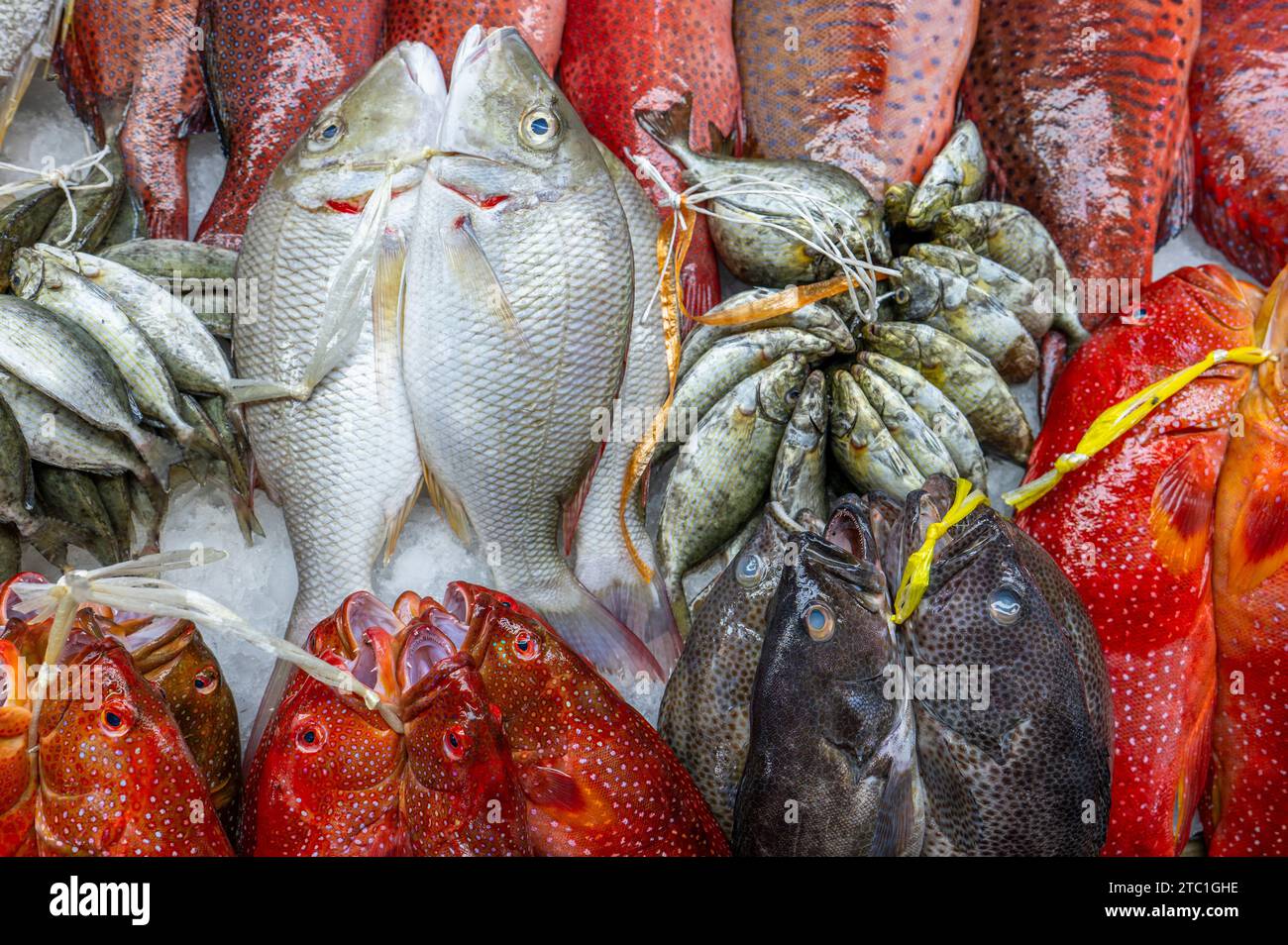 Colorful fish at a stand at a seafood market in Jeddah, Saudi Arabia ...